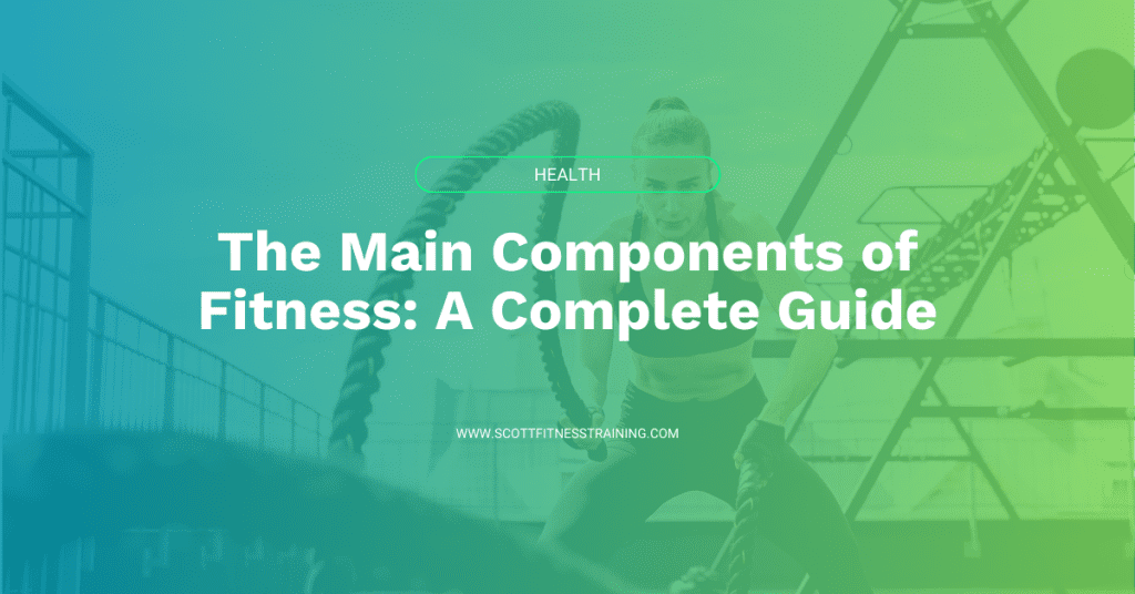 The Main Components of Fitness: A Complete Guide